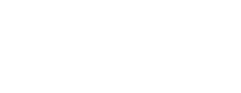 Bizmaxus FlexPay™ – Implement Now, Pay Over Time - Bizmaxus